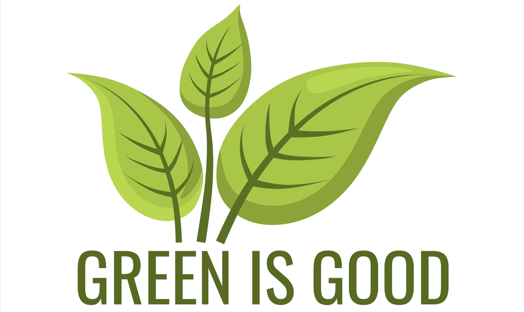 Label Clef Verte : quels sont les critères